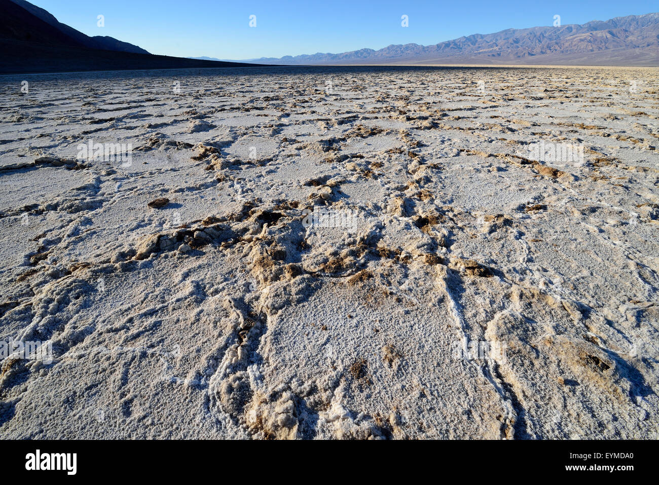 crust of salt next to Badwater in the Death Valley National Park ...