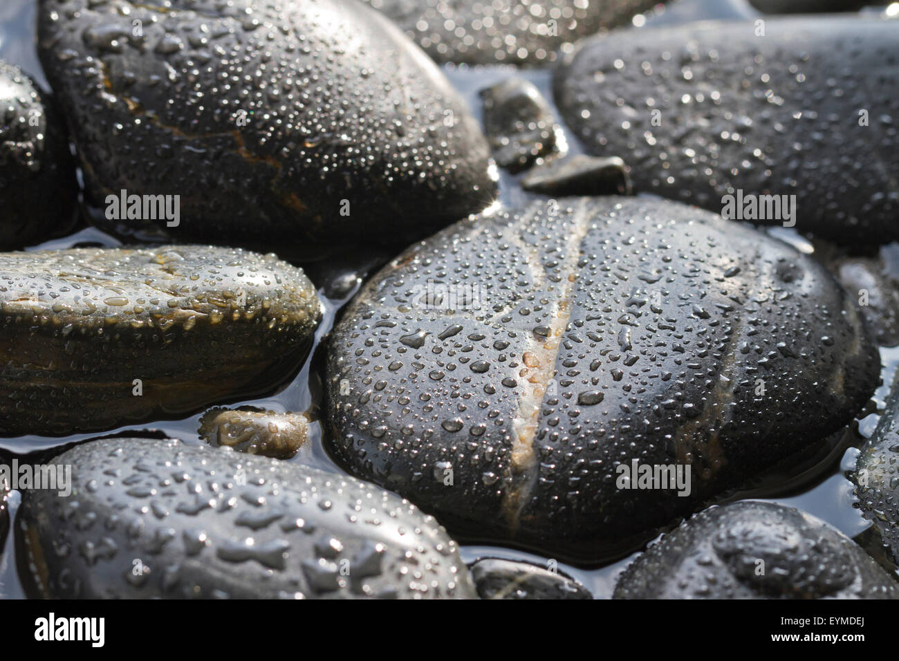 Black stones in the water, Zen, spa Stock Photo - Alamy