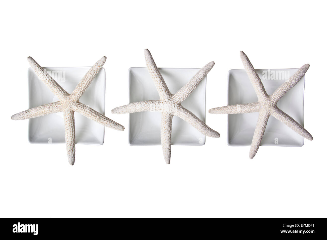 Starfish skeleton Cut Out Stock Images & Pictures - Alamy