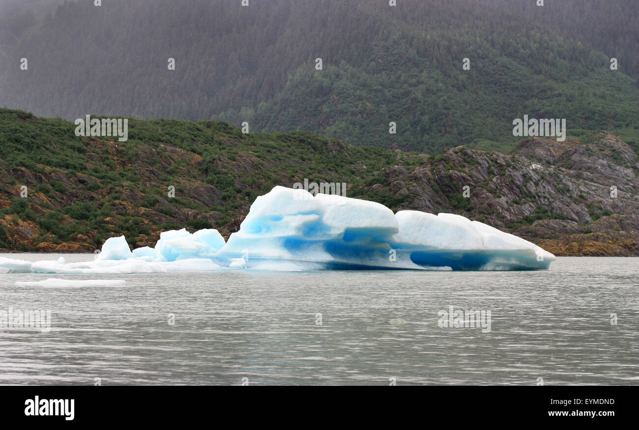 Iceberg in Mendenhall Glacier in Juneau Alaska Stock Photo - Alamy