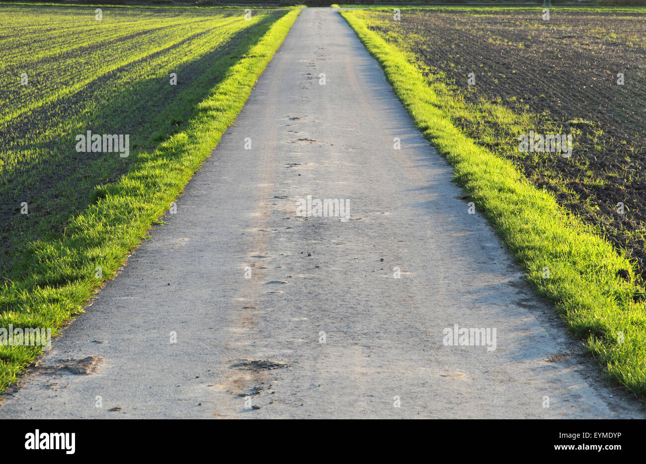 Long country lane hi-res stock photography and images - Alamy