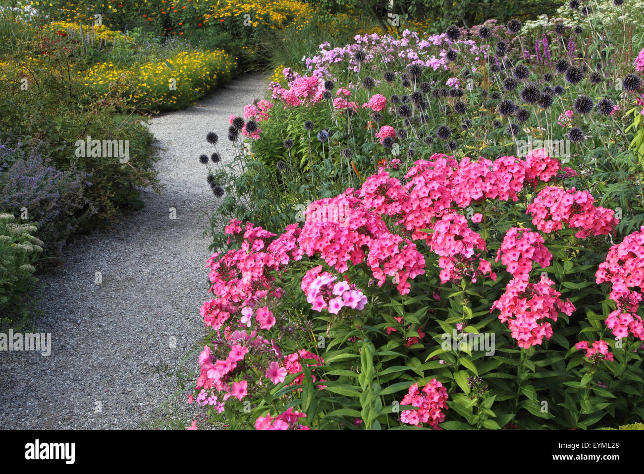 Garden near way and flowers in Stock Photo - Alamy