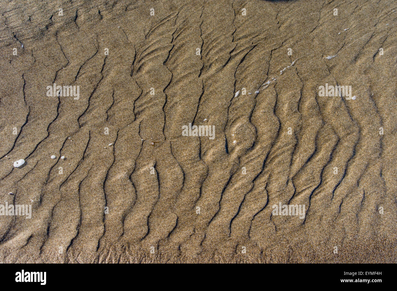 Rippled sand pattern caused by moving water Stock Photo - Alamy