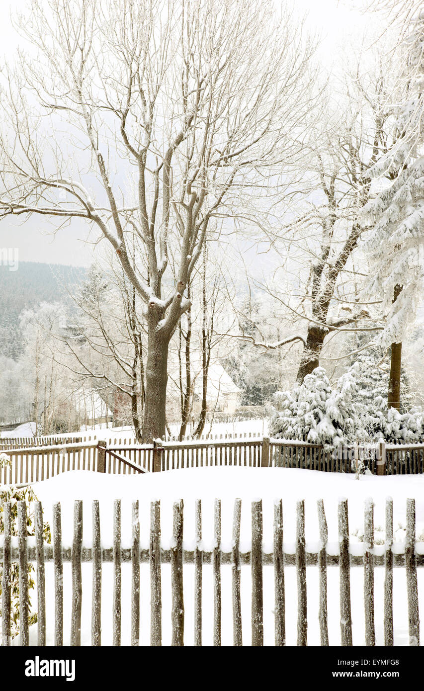 Trees, fence, snow, winter Stock Photo - Alamy