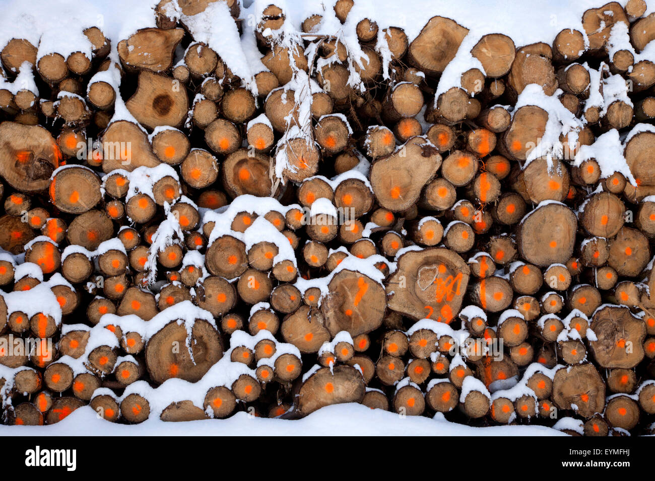 timber yard, snow, winter, timber industry Stock Photo - Alamy