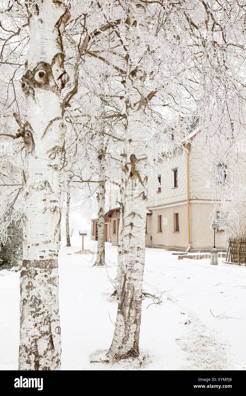 House, trees, snow, winter Stock Photo - Alamy