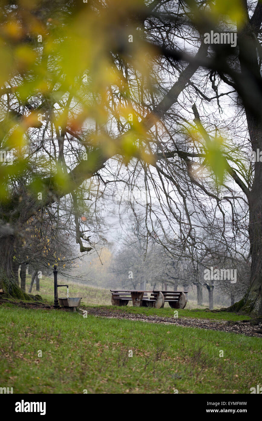 Fountain under trees hi-res stock photography and images - Alamy