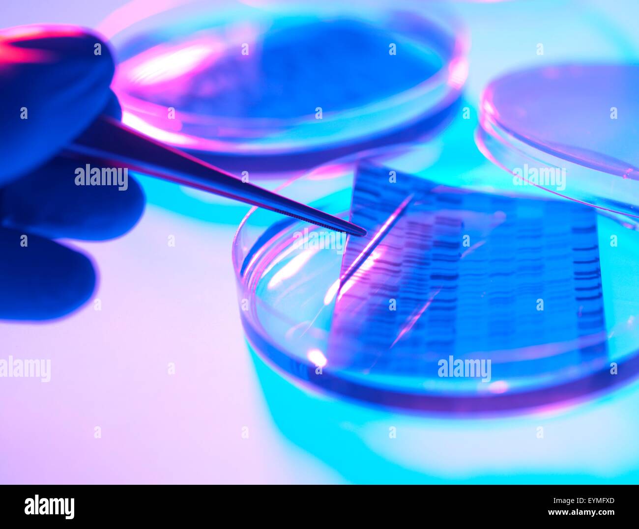 PROPERTY RELEASED. DNA (deoxyribonucleic acid) research, conceptual ...