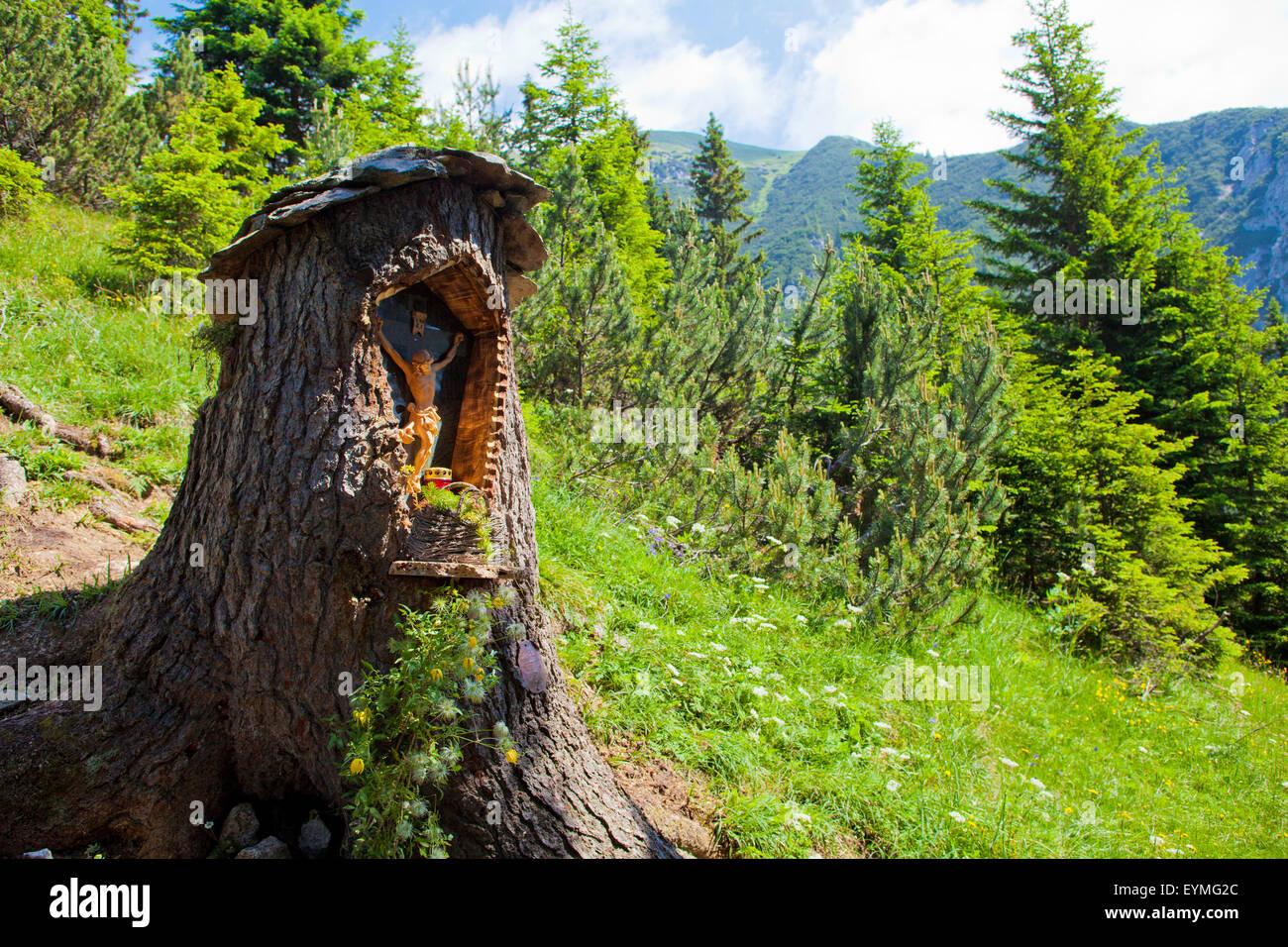 Wayside shrine in tree stump Stock Photo - Alamy