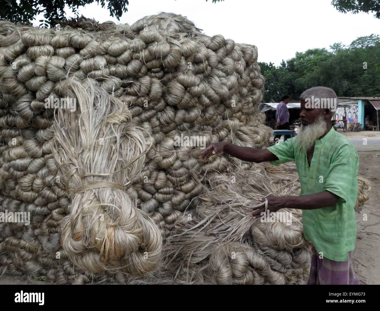 Panchagarh, Bangladesh. 31st July, 2015. A worker throws a bundle of ...