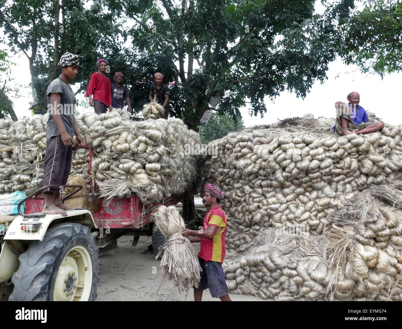 Jute workers hi-res stock photography and images - Alamy