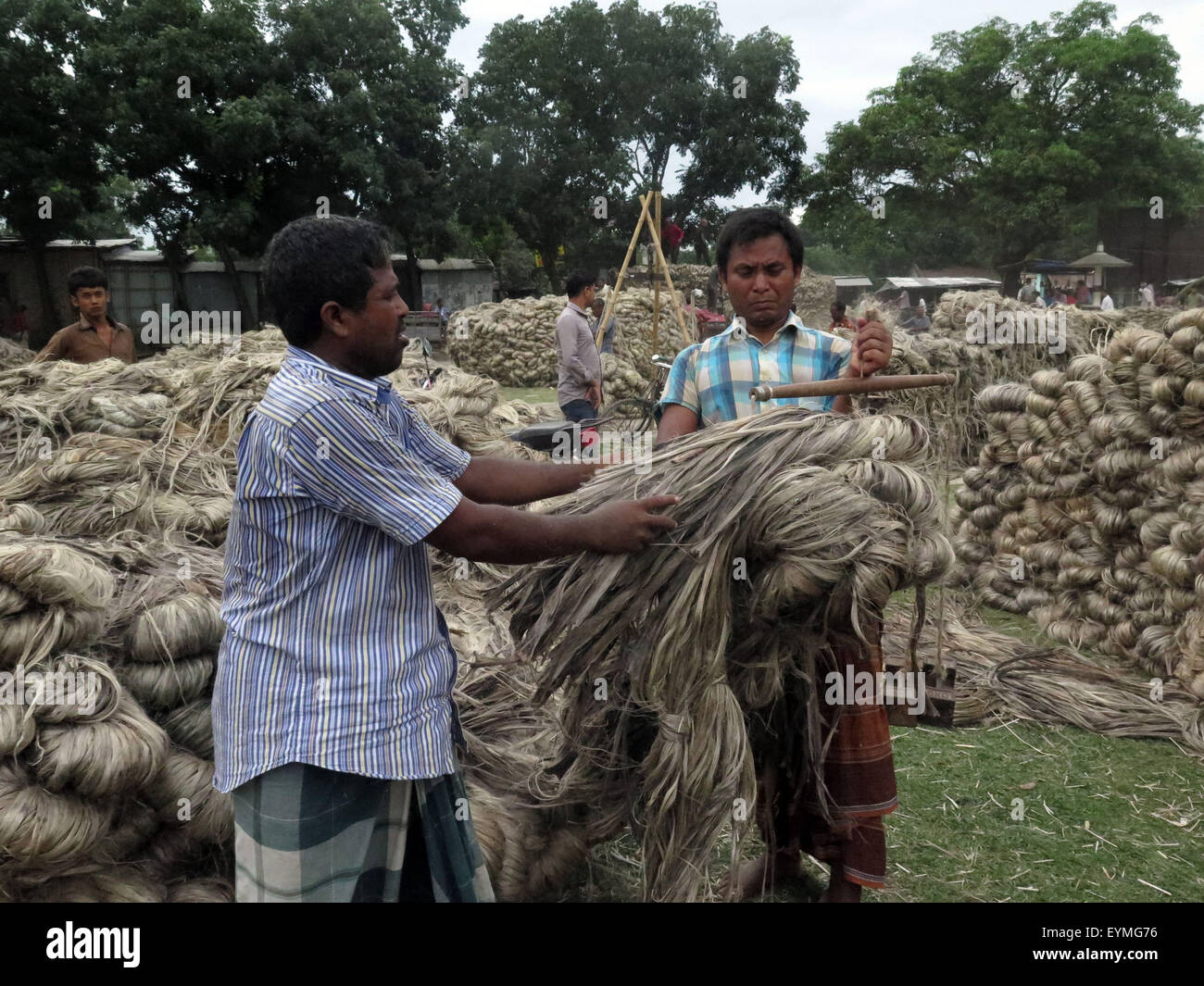 Jute workers hi-res stock photography and images - Alamy