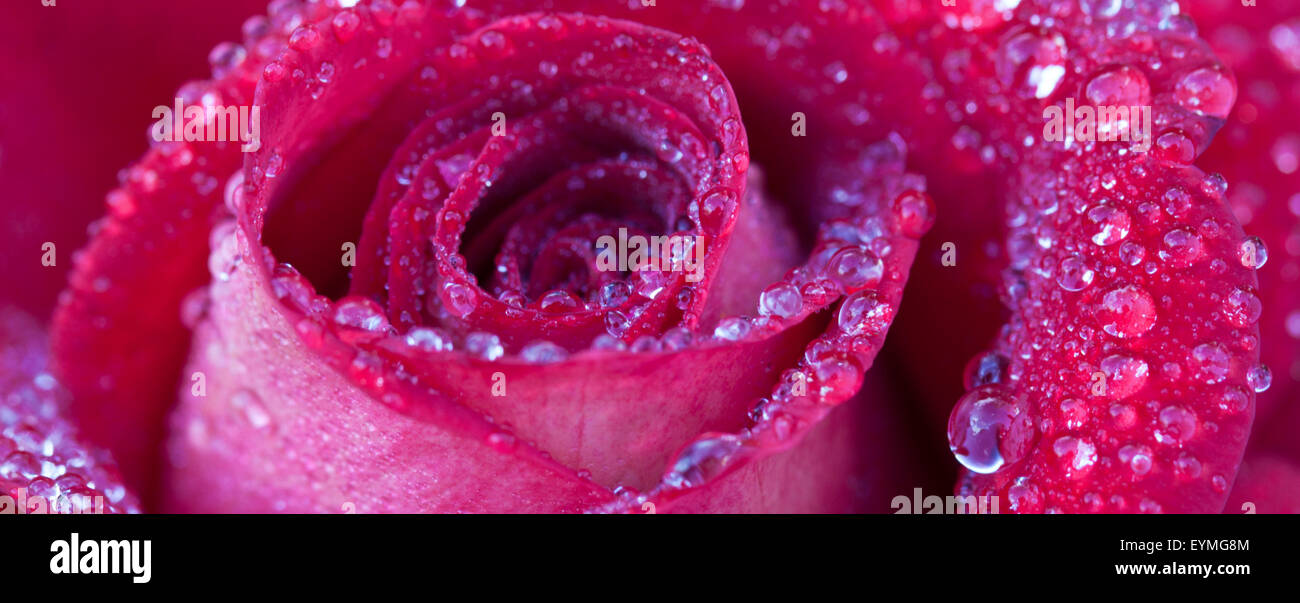 Glitter drop hi-res stock photography and images - Alamy