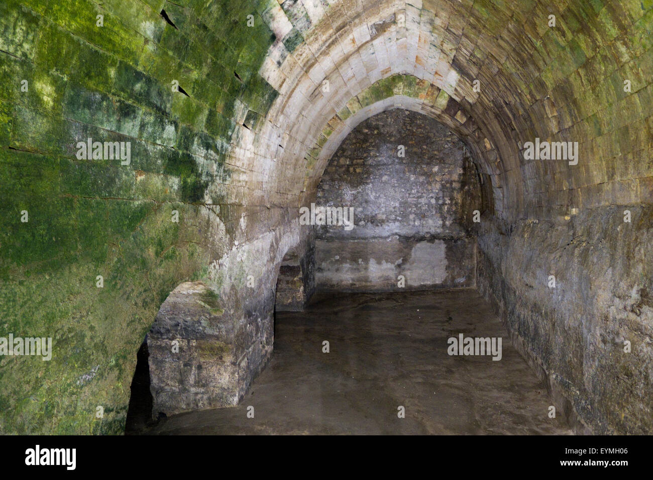 Lithostrotos hi-res stock photography and images - Alamy