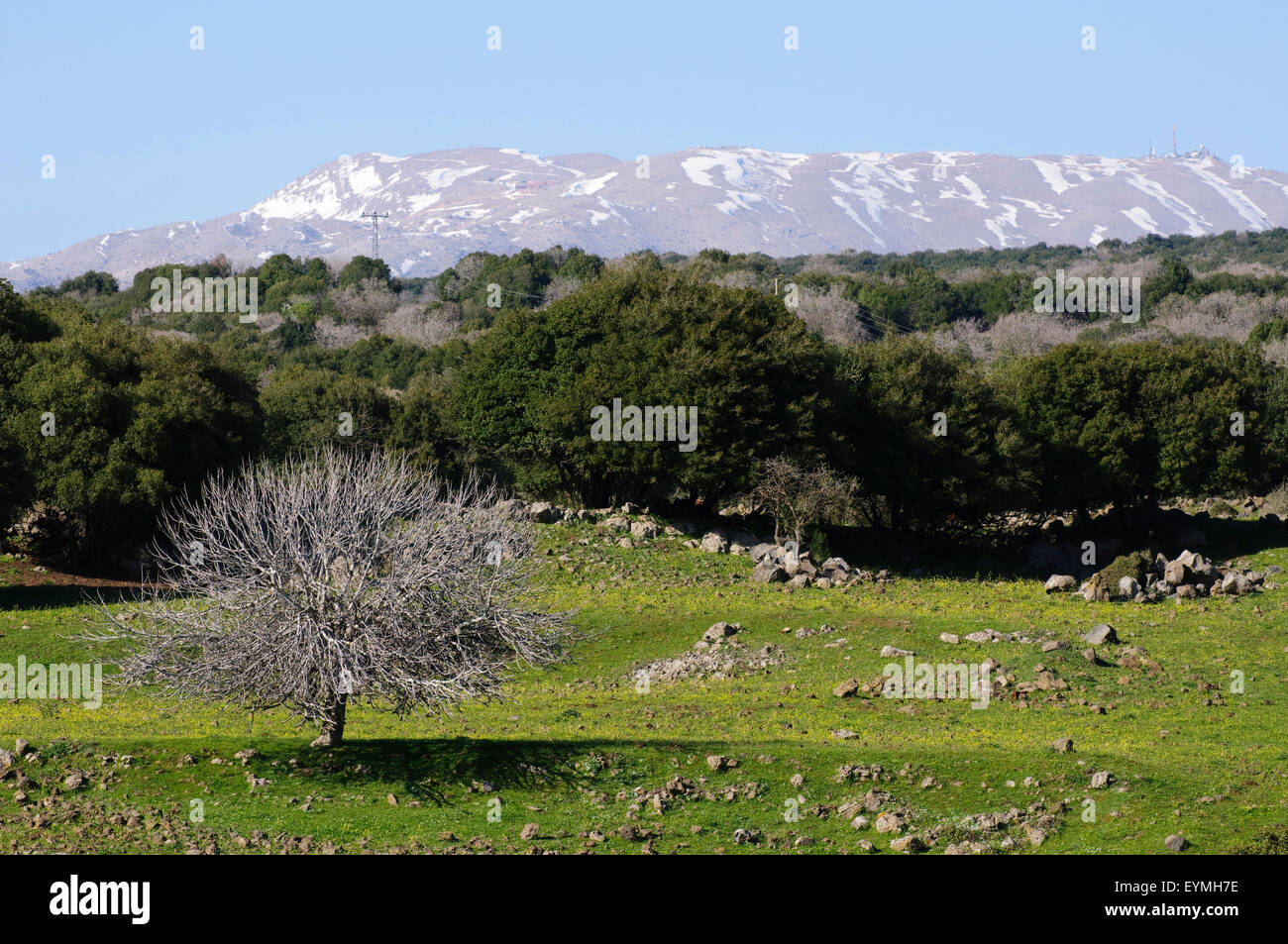 Mount Hermon, Golan Heights, Galilee, Israel Stock Photo - Alamy