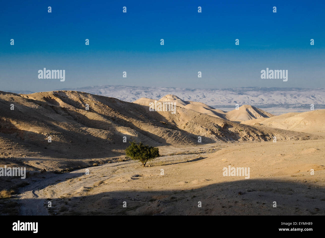 Wadi es Qelt (valley next to Jericho), desert, Palestine, West Jordan ...