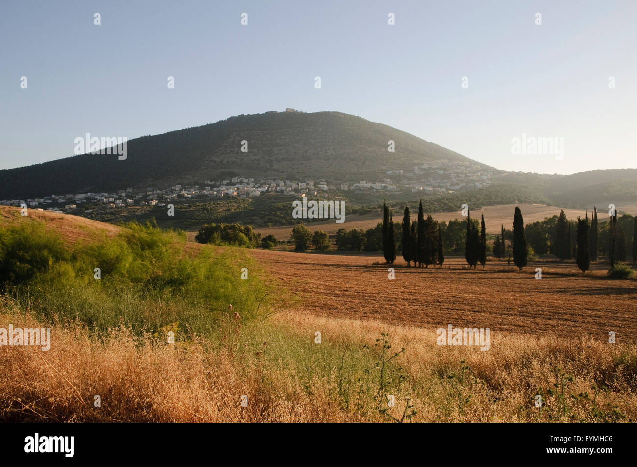 Mountain Tabor, landscape, Galilee, Israel Stock Photo - Alamy