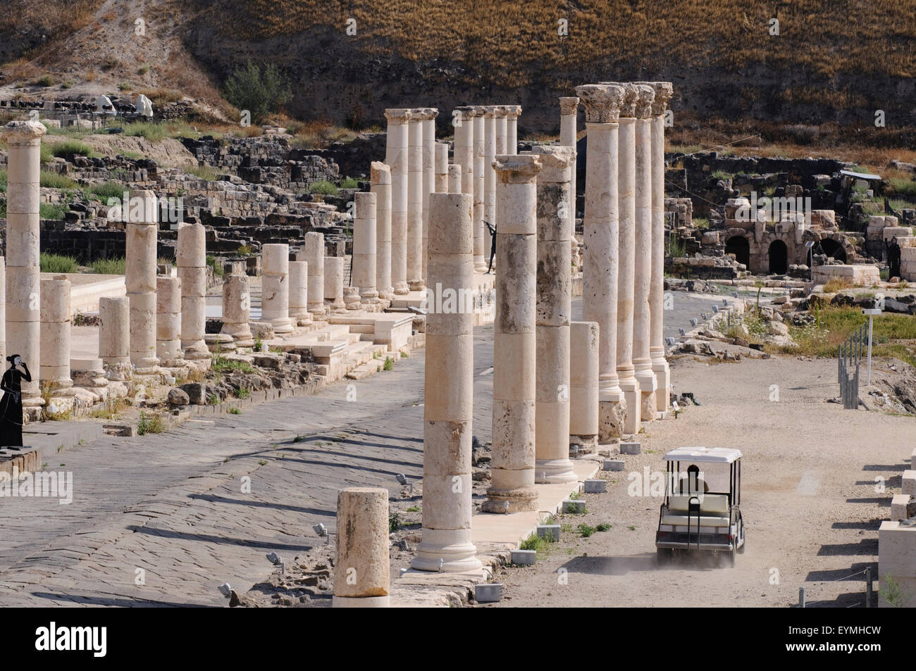 Palladius hi-res stock photography and images - Alamy