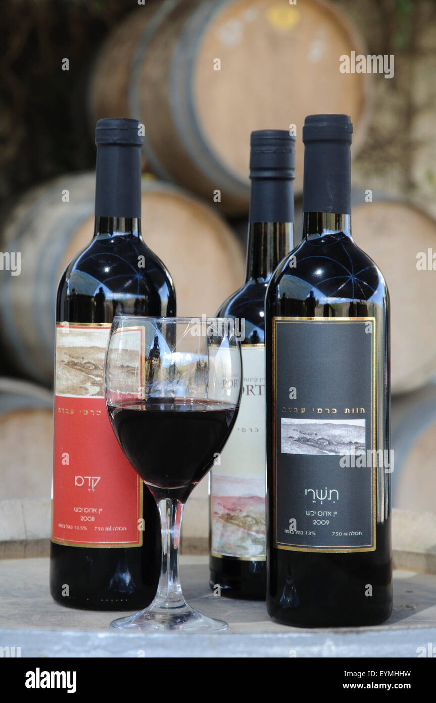 Negev vineyard hi-res stock photography and images - Alamy