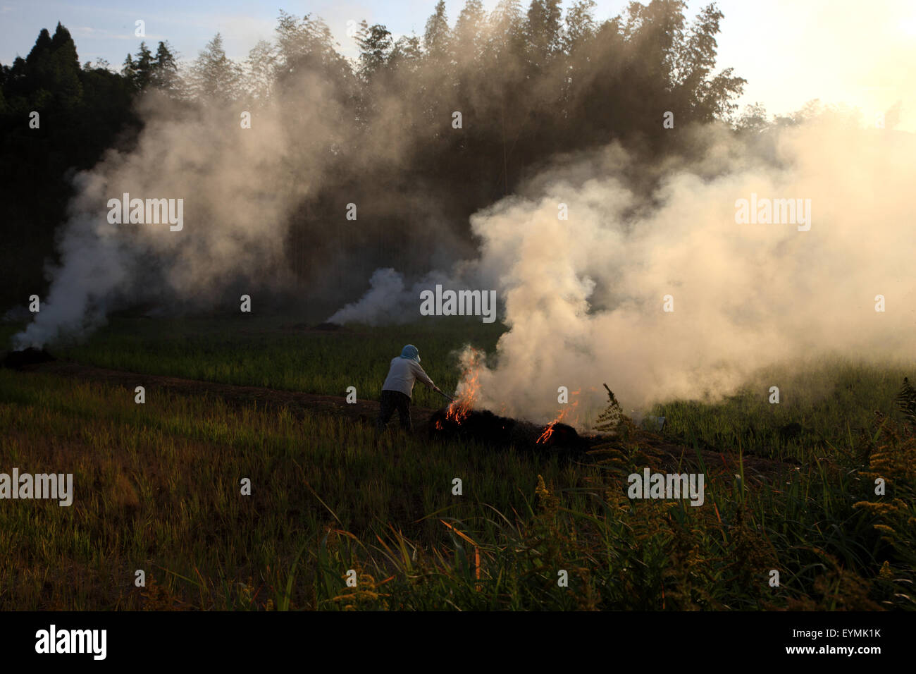 Field burning in autumn Stock Photo - Alamy