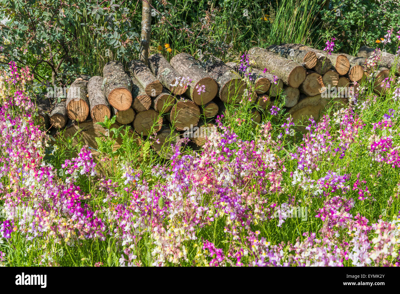 Log pile garden hi-res stock photography and images - Alamy