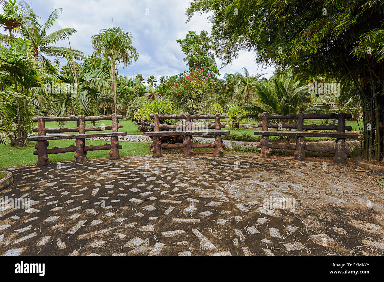 Three benches in the park next to the trees in nature Stock Photo - Alamy