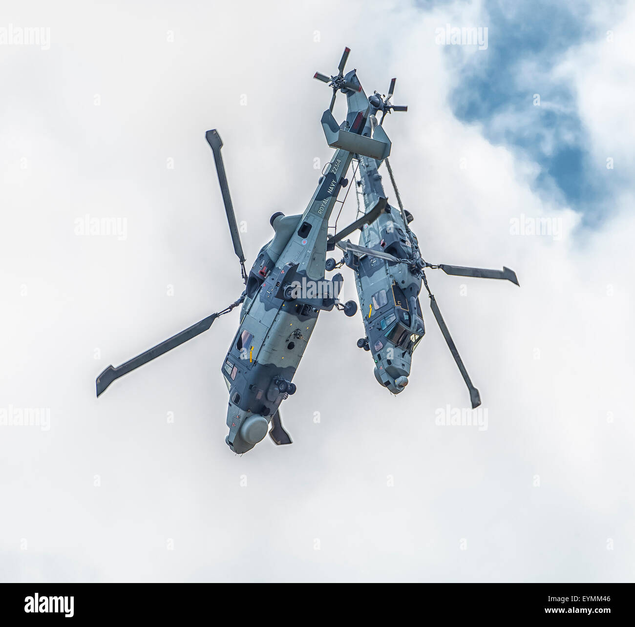 Blackcats display team hi-res stock photography and images - Alamy