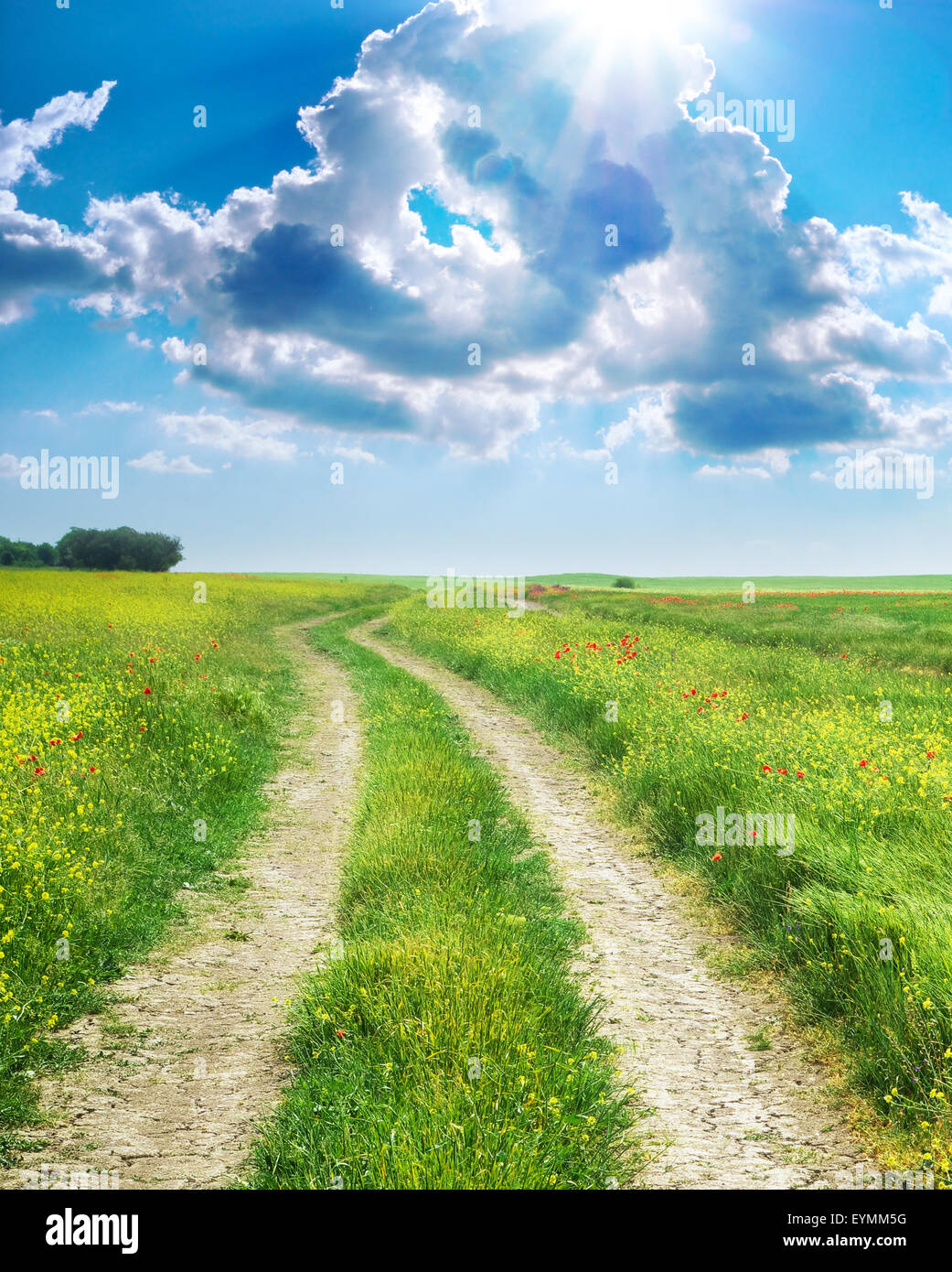Road lane and deep blue sky. Nature design Stock Photo - Alamy
