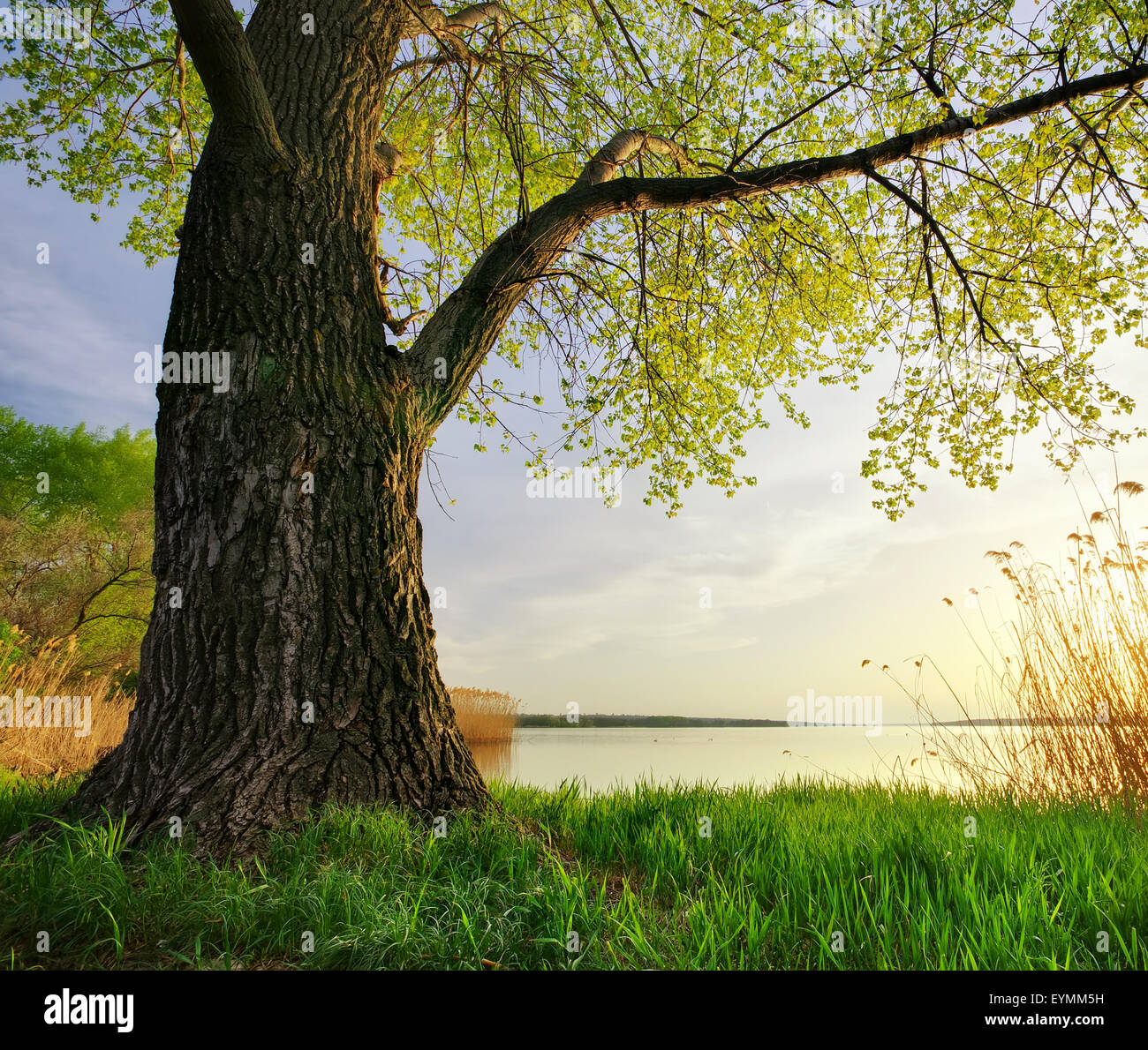 Spring big water hi-res stock photography and images - Alamy