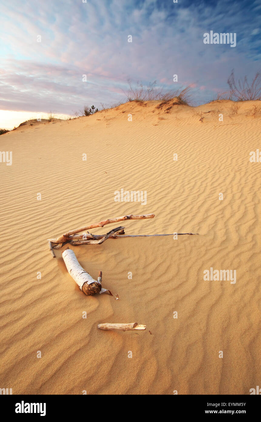 Beautiful landscape in desert. Composition of nature Stock Photo - Alamy