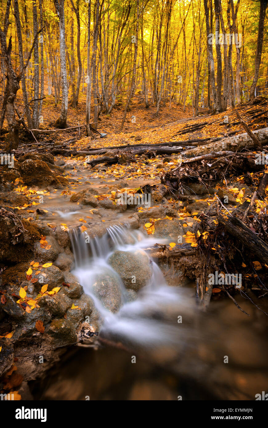 Canyon fall hi-res stock photography and images - Alamy