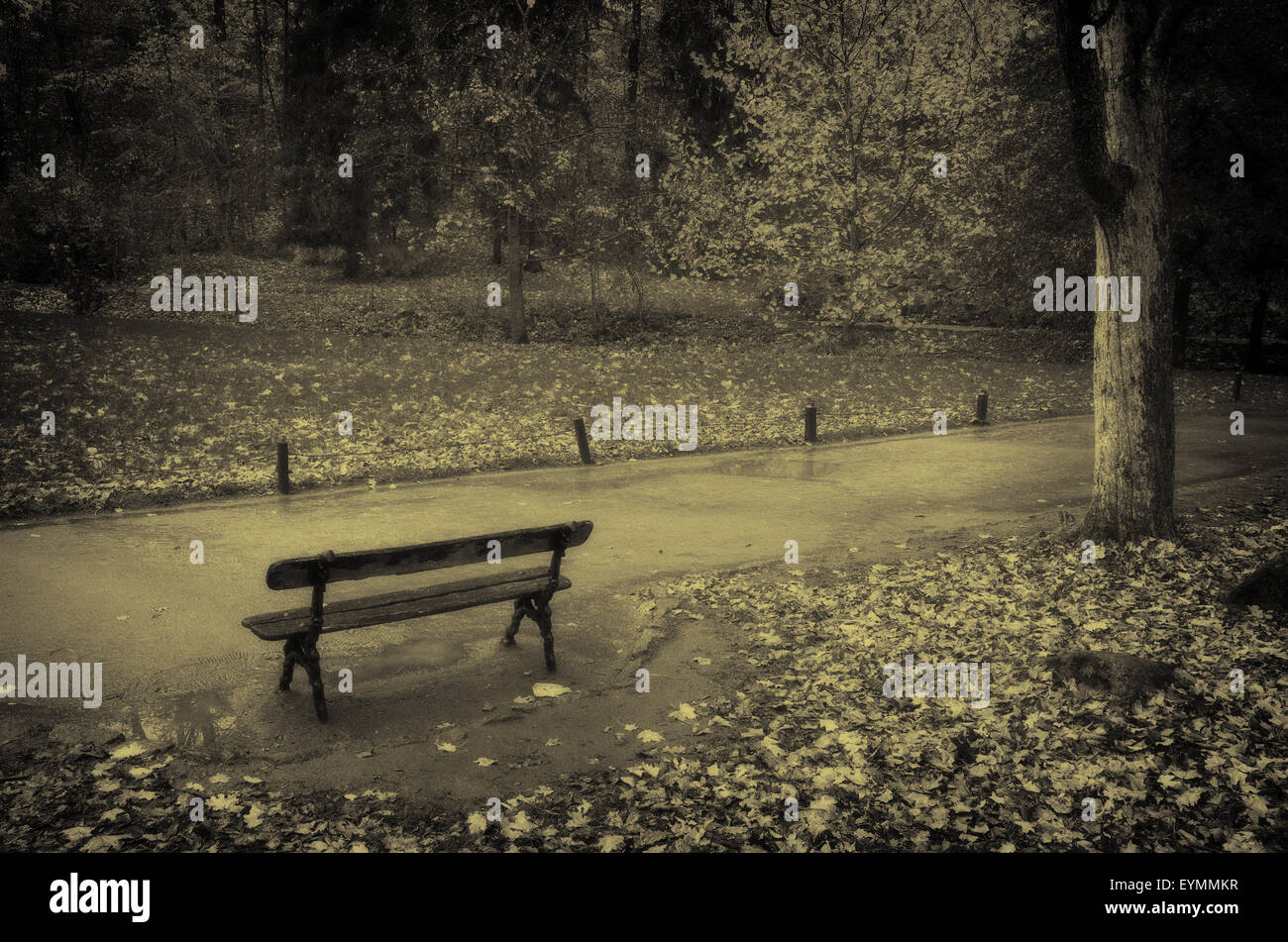 Autumn park. Composition of nature Stock Photo - Alamy