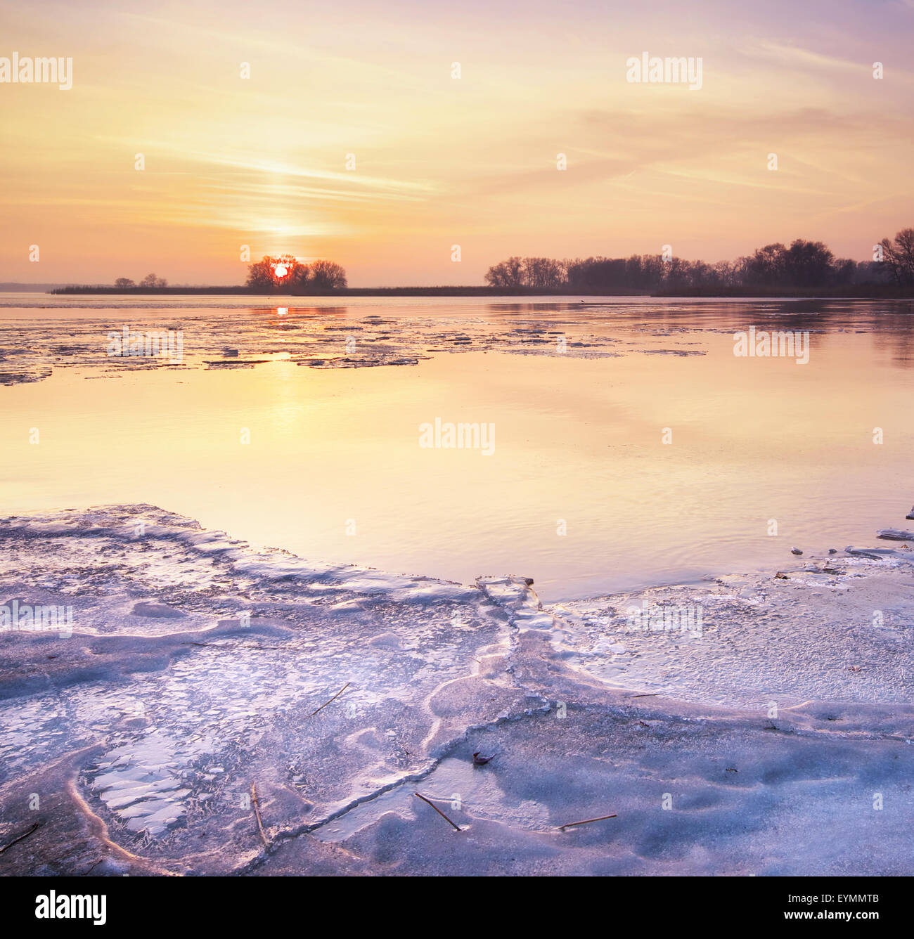 Icy morning. Conposition of nature Stock Photo - Alamy