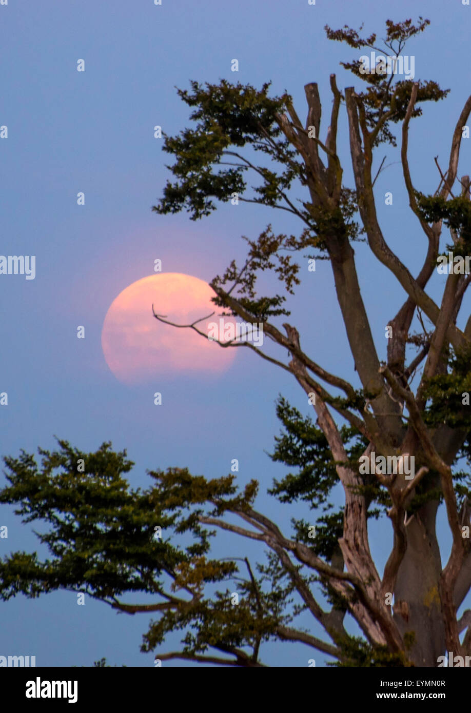 Full moon rising Stock Photo - Alamy