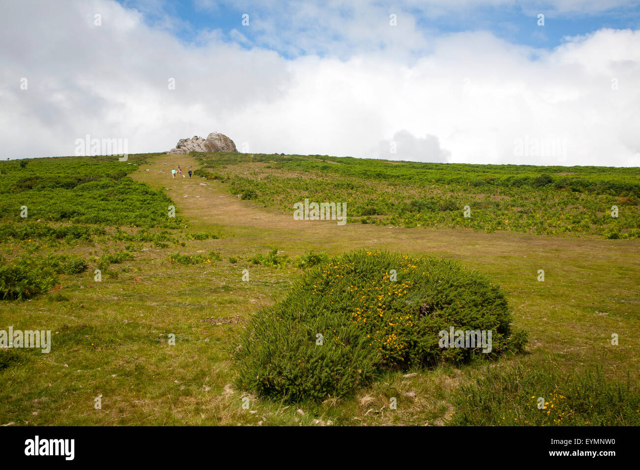 Granite tor of Haytor, Dartmoor national park, Devon, England, UK Stock ...
