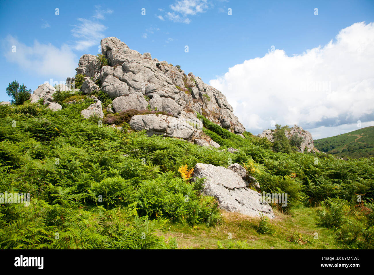 Granite upland landscape Greator Rocks, Dartmoor national park, Devon ...