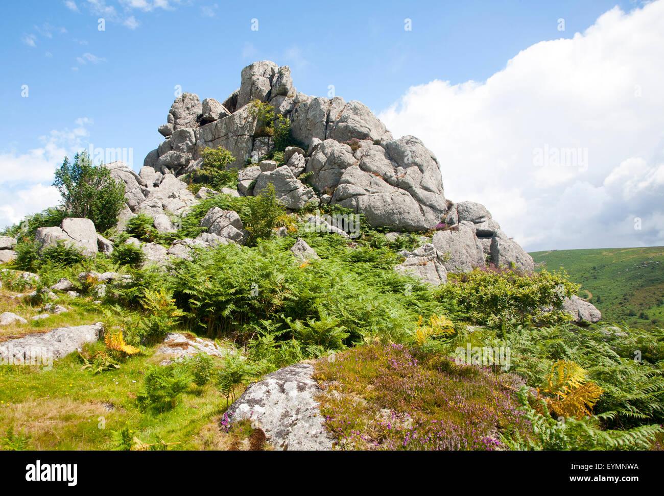 Granite upland landscape Greator Rocks, Dartmoor national park, Devon ...