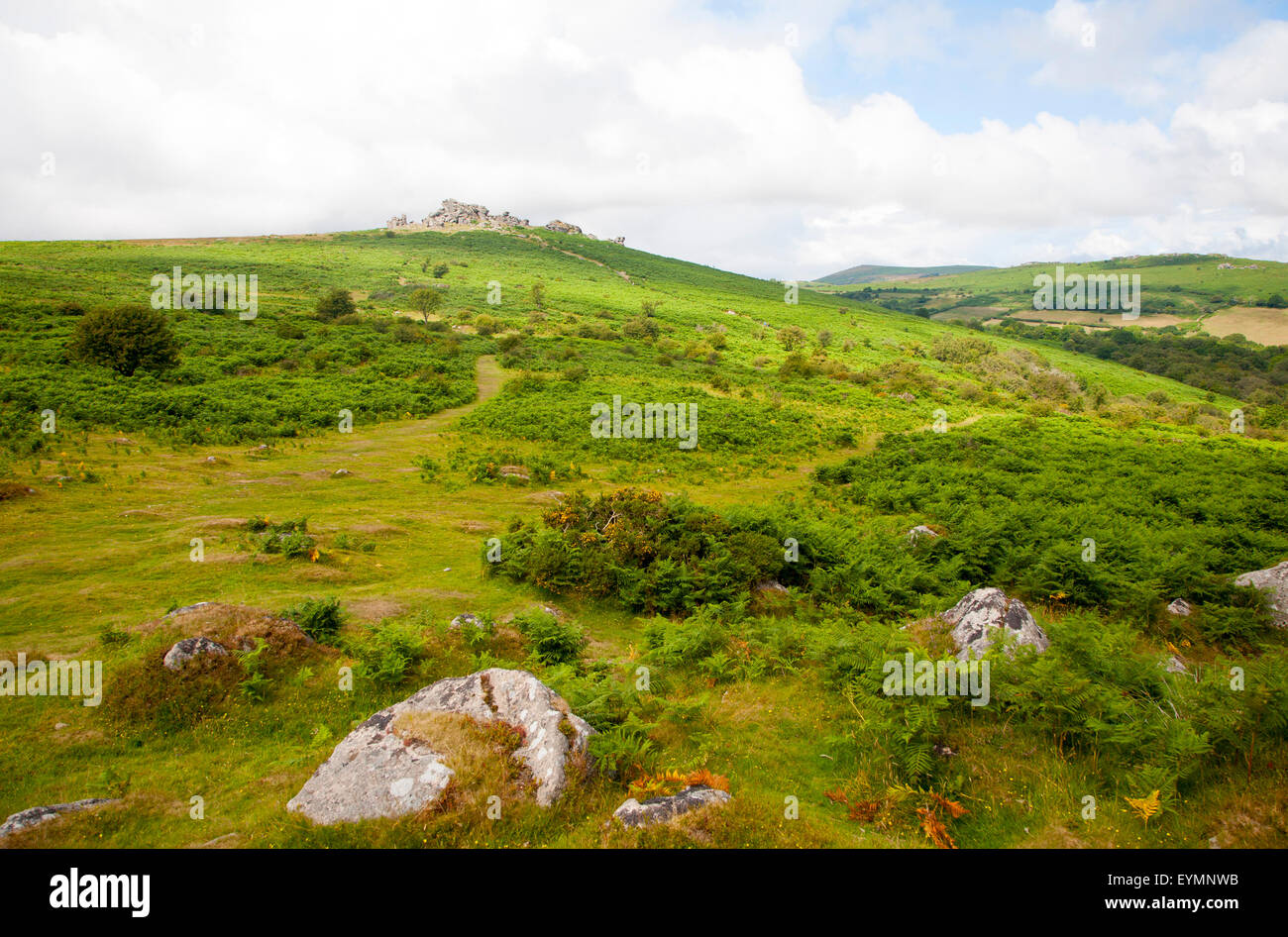 Granite upland landscape Hound Tor, Dartmoor national park, Devon ...