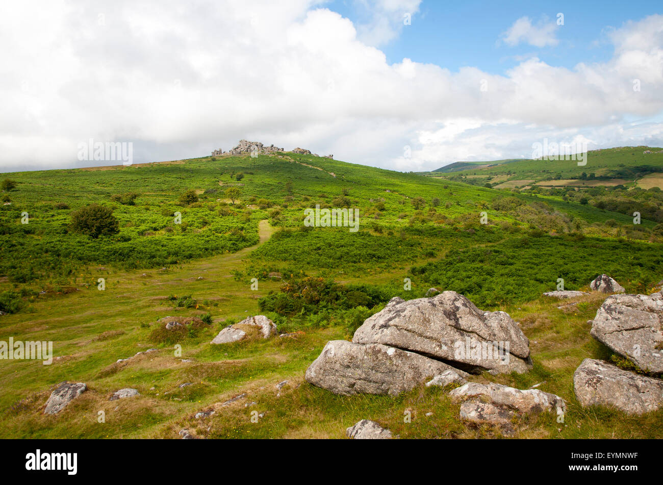 Granite upland landscape Hound Tor, Dartmoor national park, Devon ...