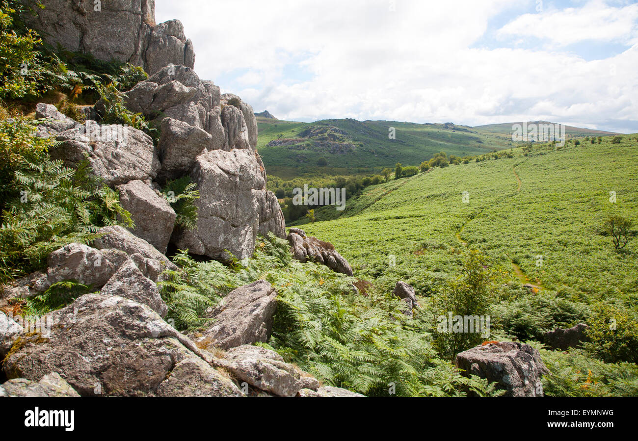 Granite upland landscape Greator Rocks tor, Dartmoor national park ...