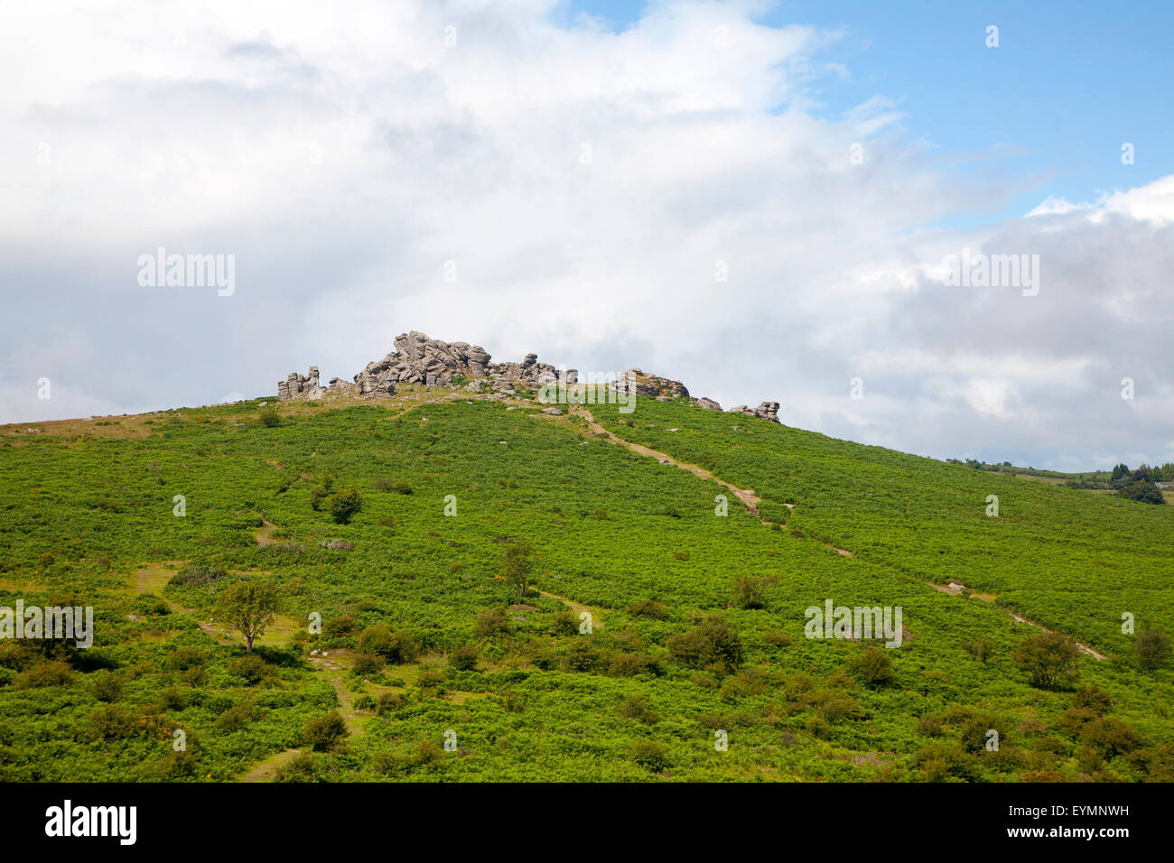 Granite upland landscape Hound Tor, Dartmoor national park, Devon ...