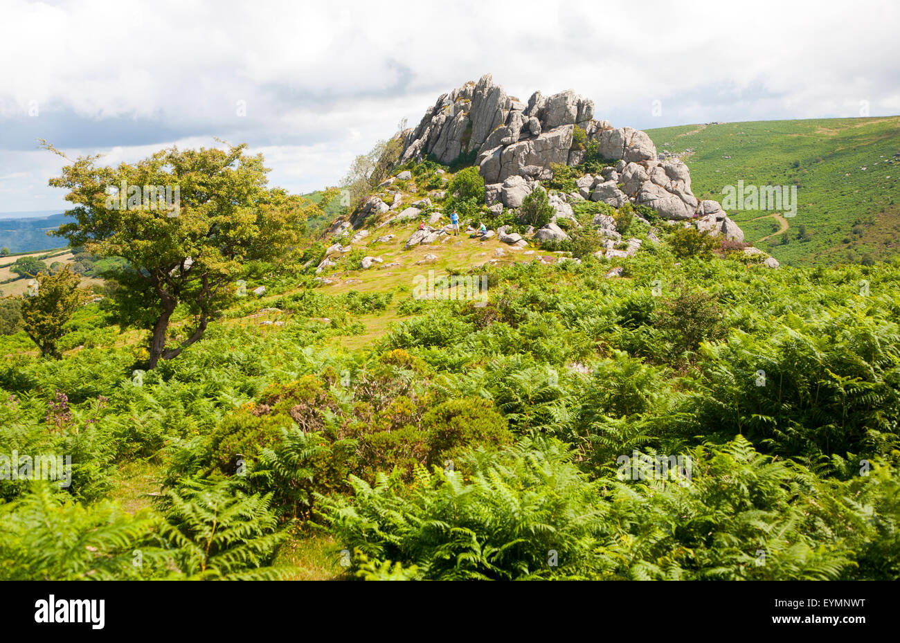 Granite upland landscape Greator Rocks, Dartmoor national park, Devon ...