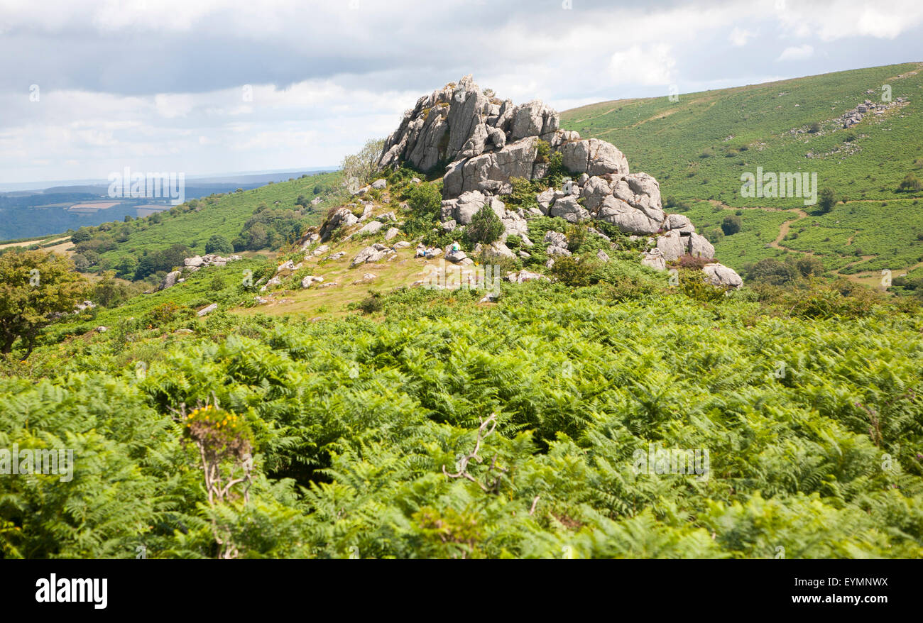 Granite upland landscape Greator Rocks, Dartmoor national park, Devon ...