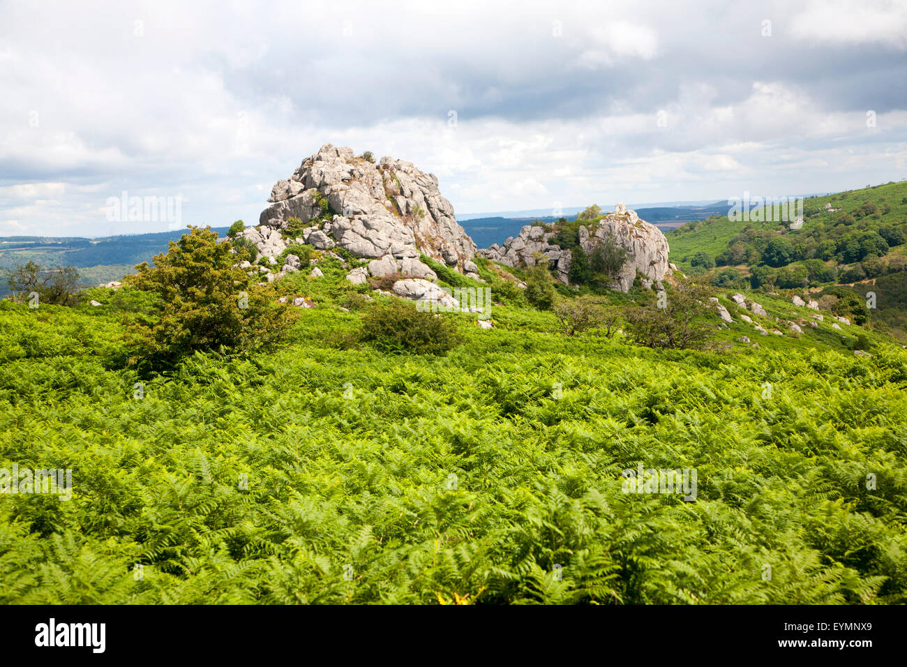 Granite upland landscape Greator Rocks, Dartmoor national park, Devon ...