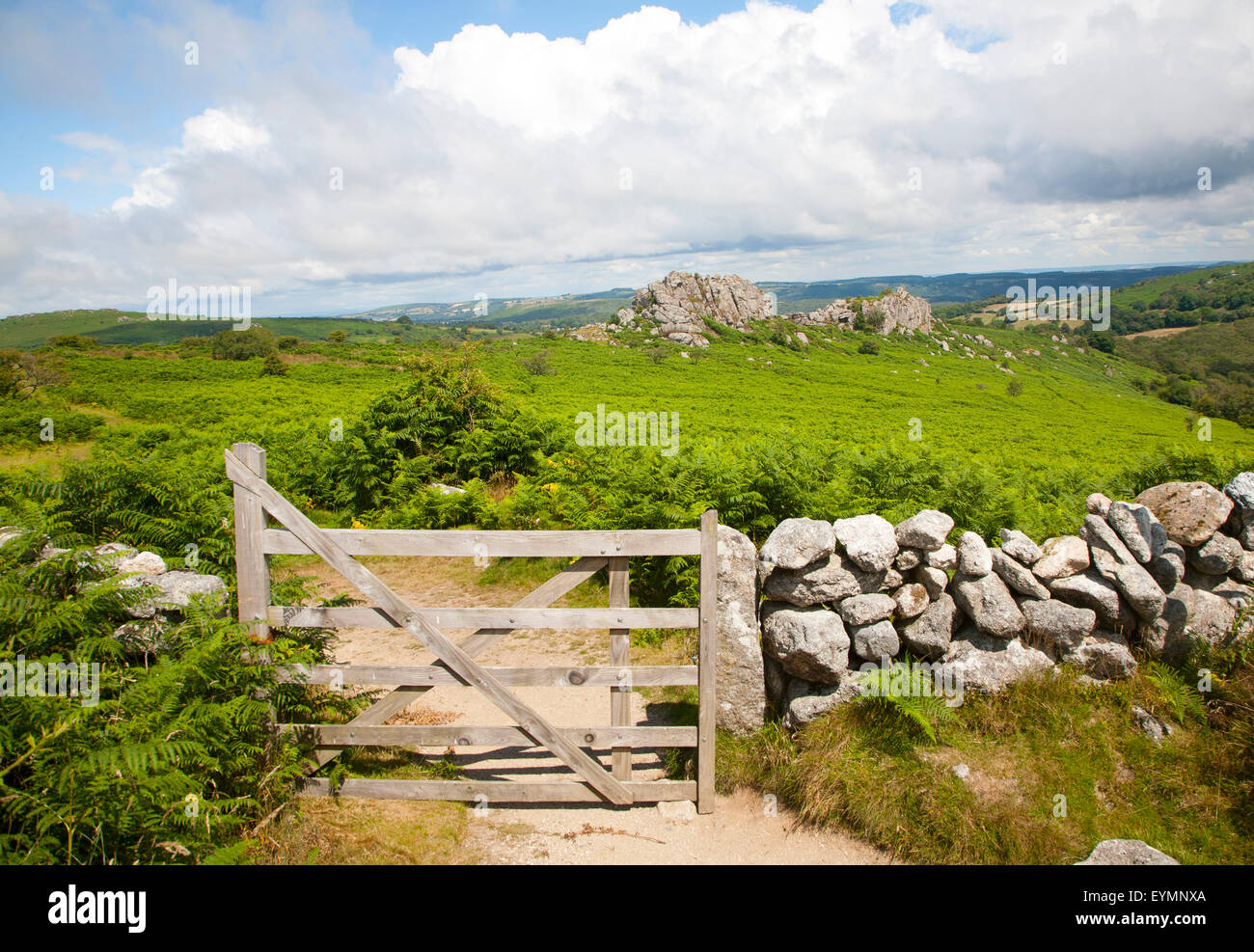 Granite upland landscape Greator Rocks, Dartmoor national park, Devon ...