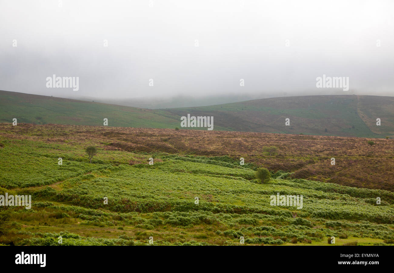 Grey overcast hi-res stock photography and images - Alamy