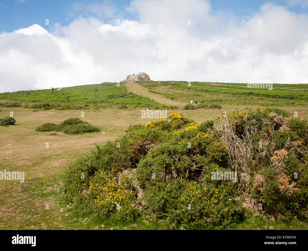 Granite tor of Haytor, Dartmoor national park, Devon, England, UK Stock ...