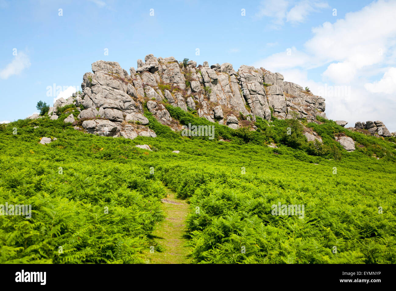 Granite upland landscape Greator Rocks, Dartmoor national park, Devon ...