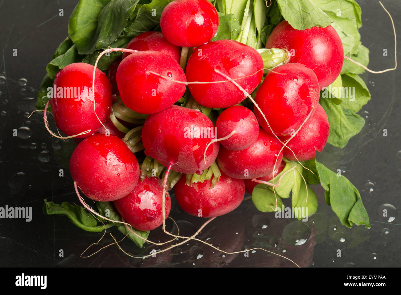 Bundle of red radishes on display, studio-shot , full Stock Photo - Alamy