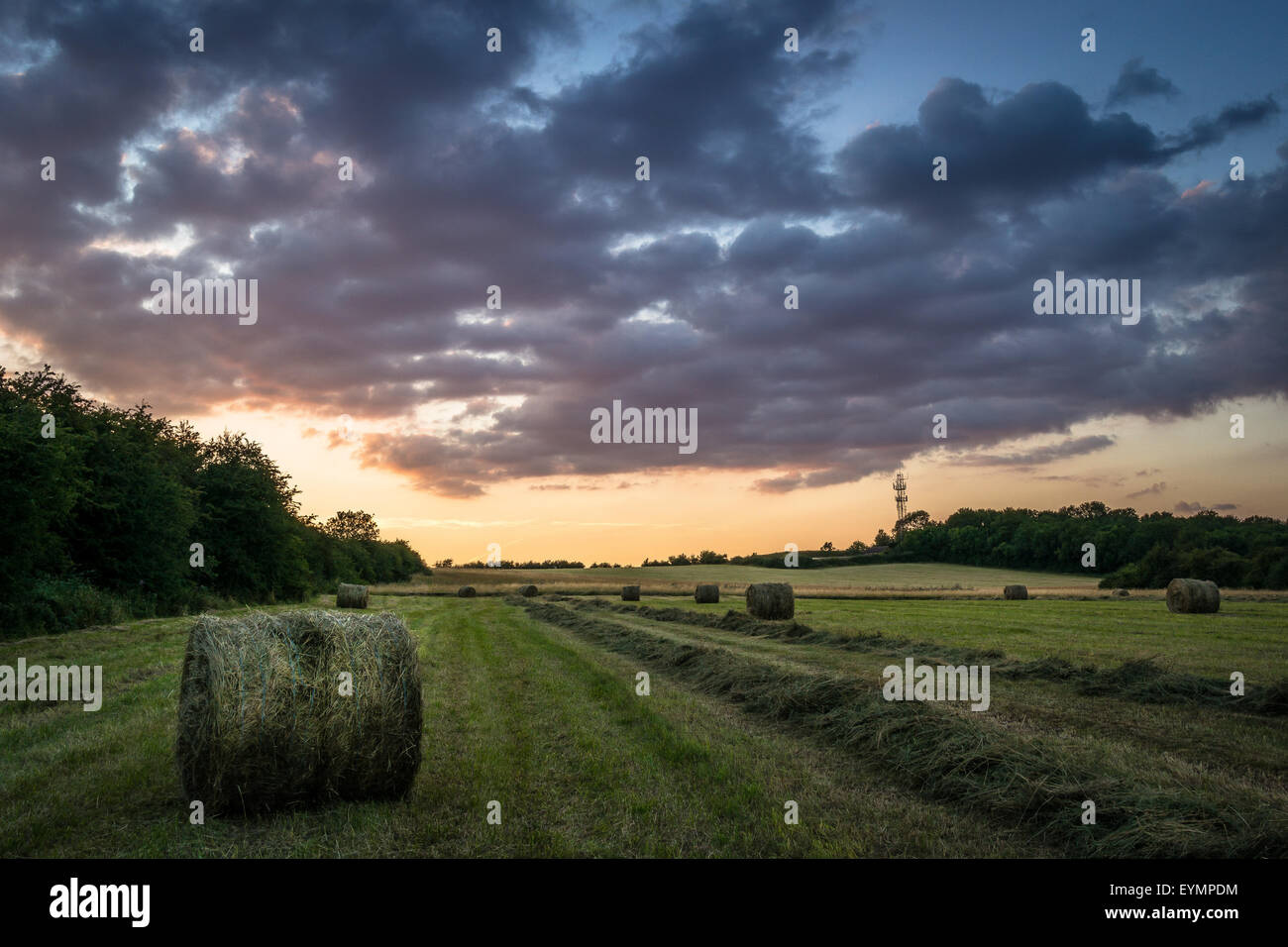 Hay bales sunset Stock Photo - Alamy